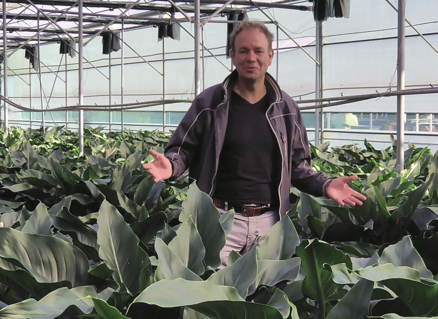 Bloemisterij 42: Nieuw voorstel promotie seizoensbloemen