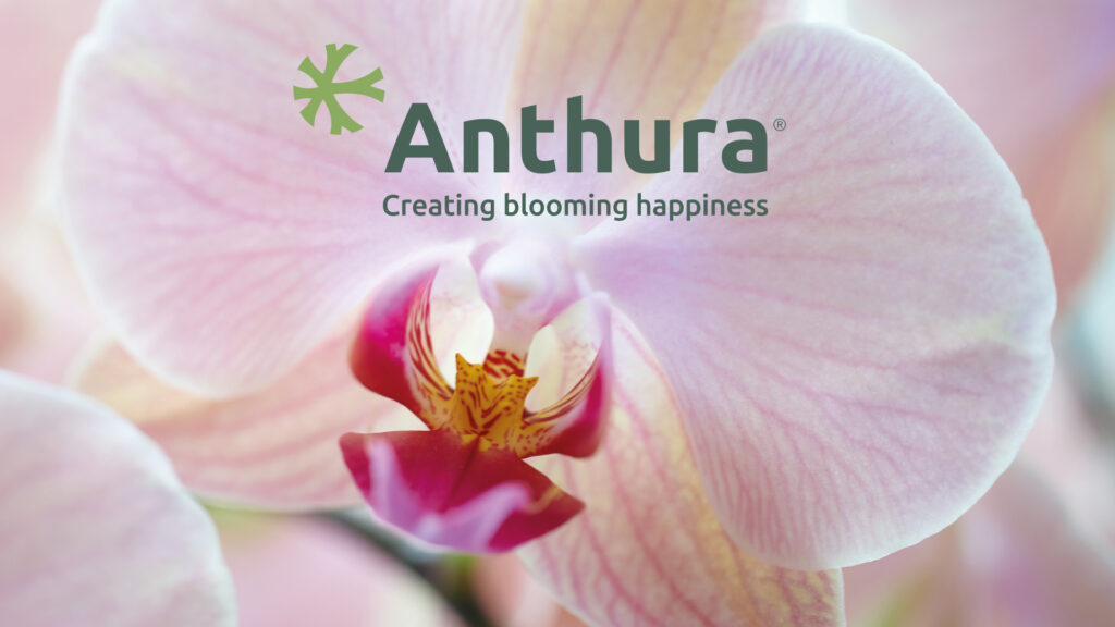 Bloemisterij 3: Groener geteeld