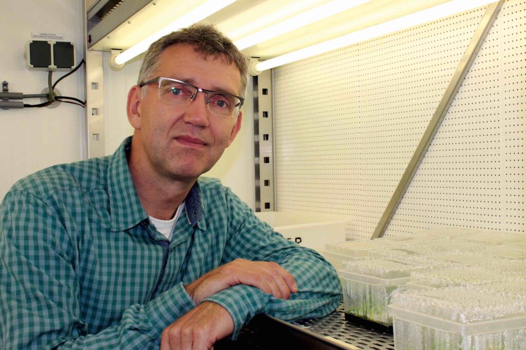 Bloemisterij 12: Veredeling showt noviteiten aan de markt