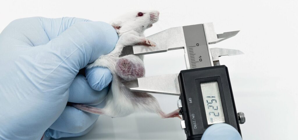 Bloemisterij 20: Toelating nieuwe gentechnieken vertraagd